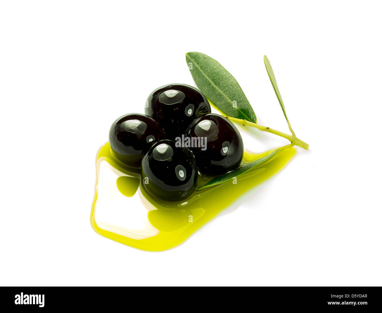 An olive branch with three premium olives on some olive oil on a white ...