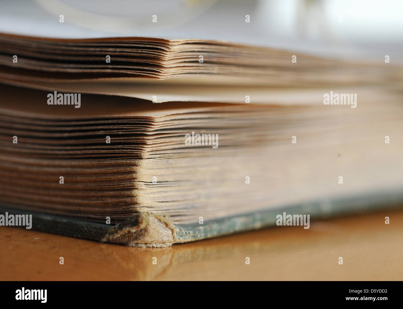 An old book with yellowed pages is pictured in Berlin, Germany, 02 ...