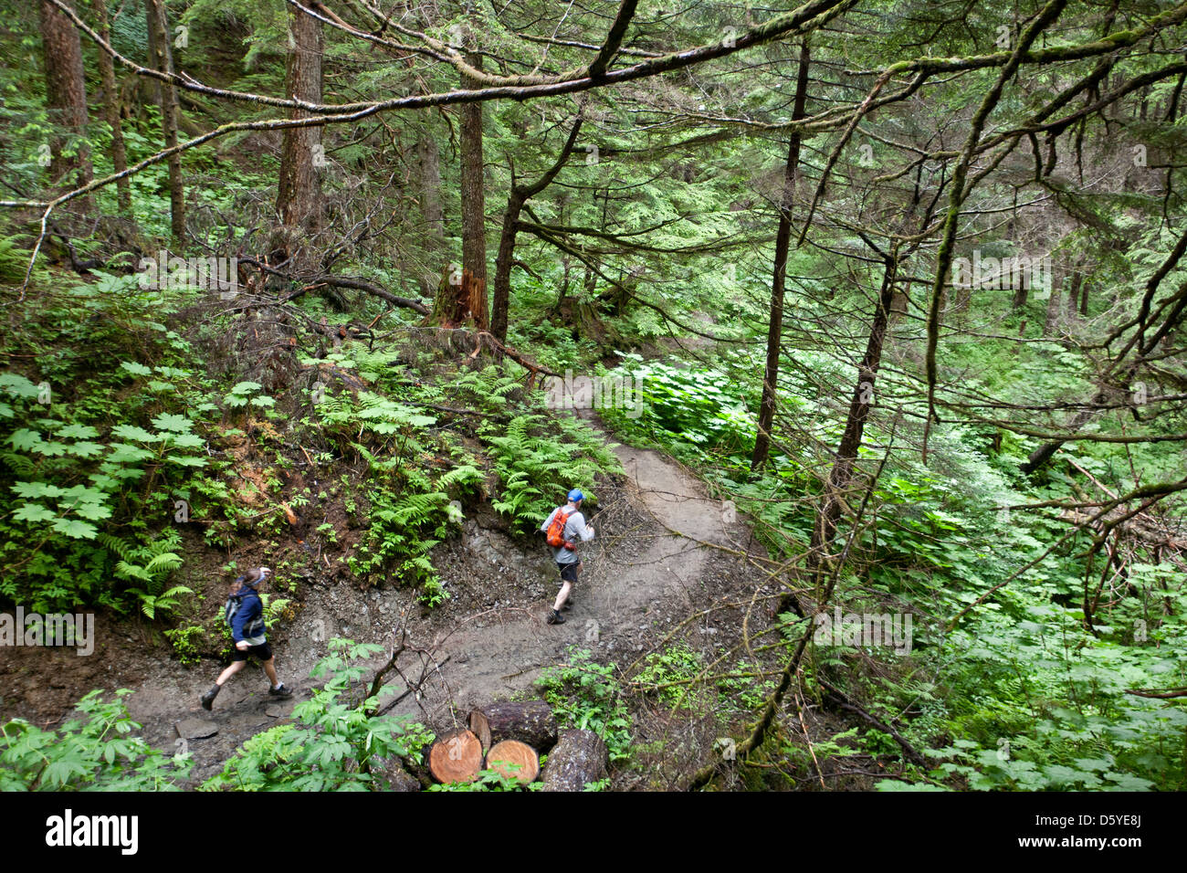 Trail runners. Mount Roberts. Juneau. Alaska. USA Stock Photo - Alamy