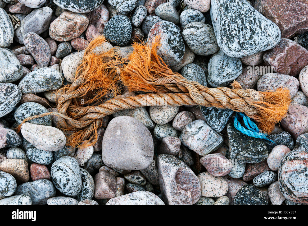 Frayed Logo Long Sleeve