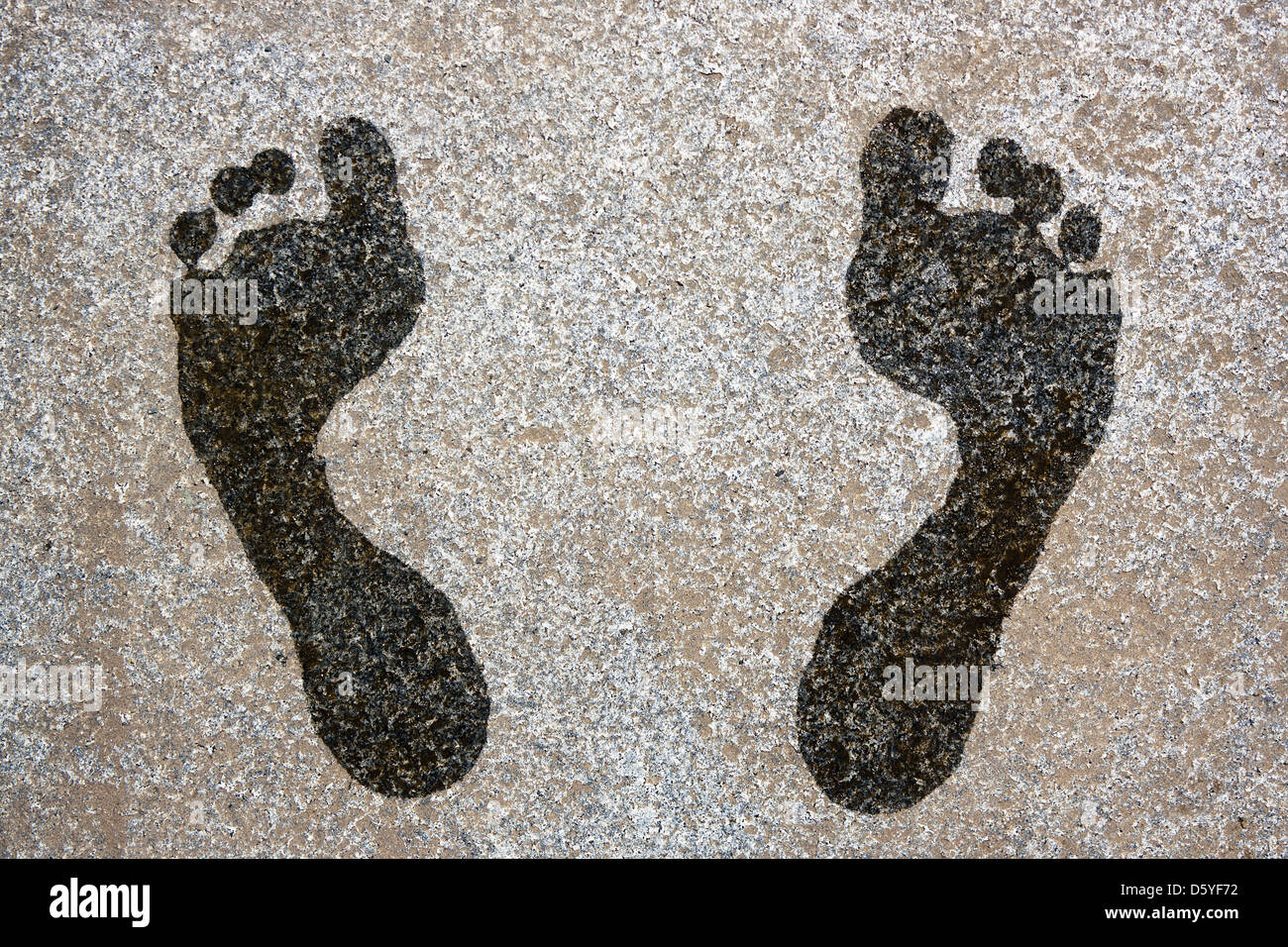 Wet footprint on floor hi-res stock photography and images - Alamy