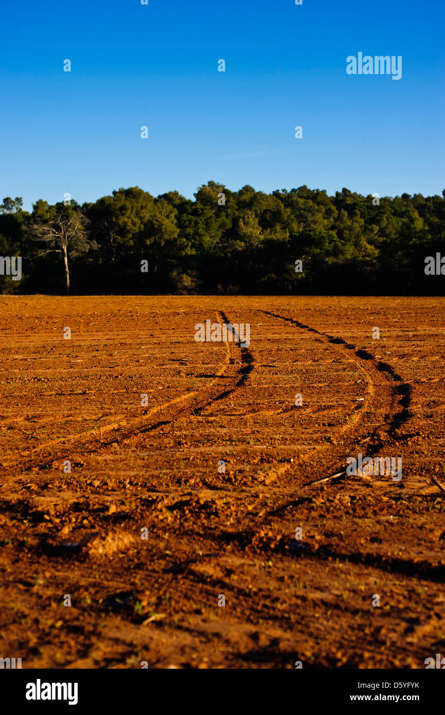 Flat farmland soil, Barcelona, Spain Stock Photo - Alamy