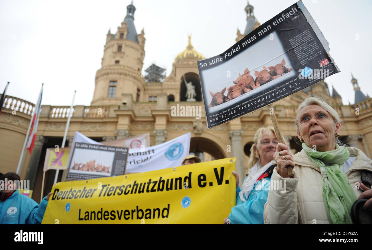 Protest against factory farming hi-res stock photography and images - Alamy