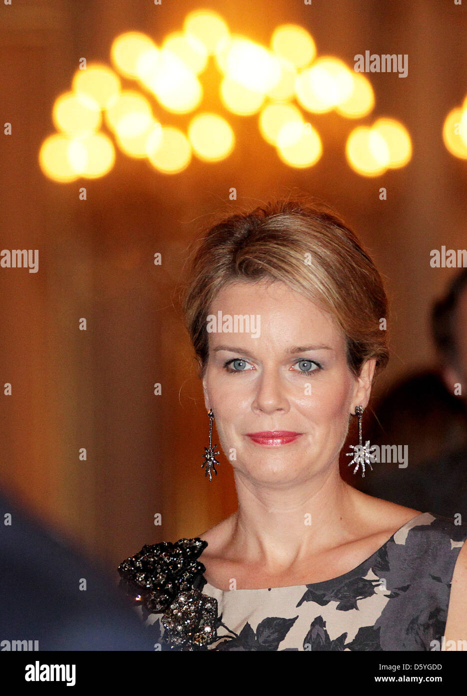 Crown Princess Mathilde of Belgium attends a reception of the royal ...