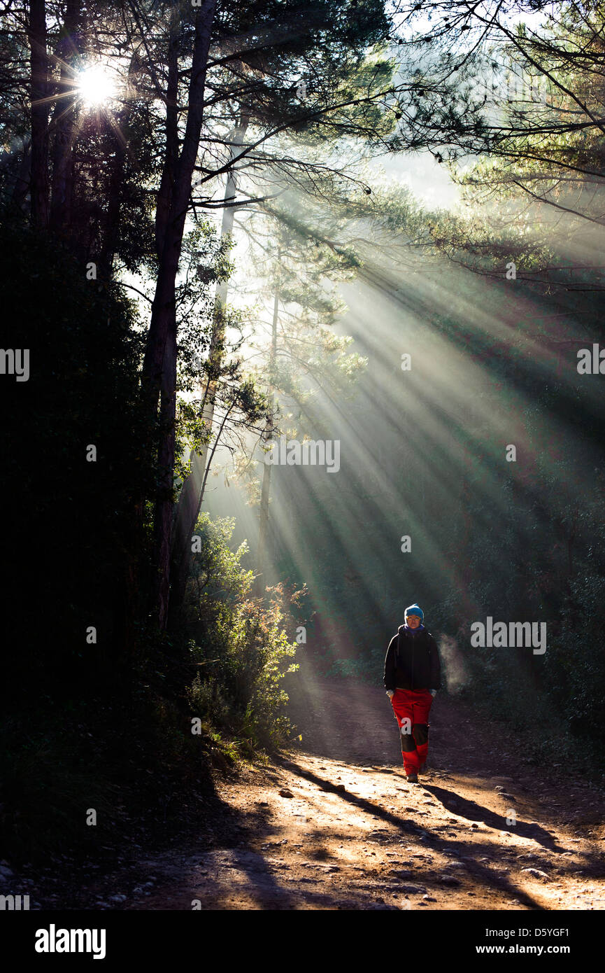 excursionist in the Forest near Barcelona, Spain Stock Photo - Alamy