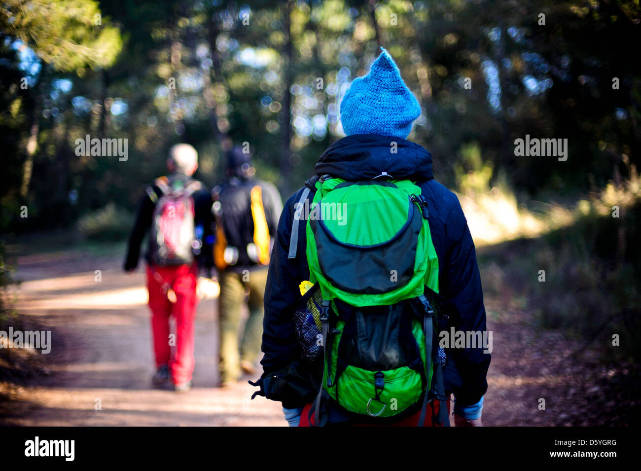 excursionists in a Forest near Barcelona, Spain Stock Photo - Alamy