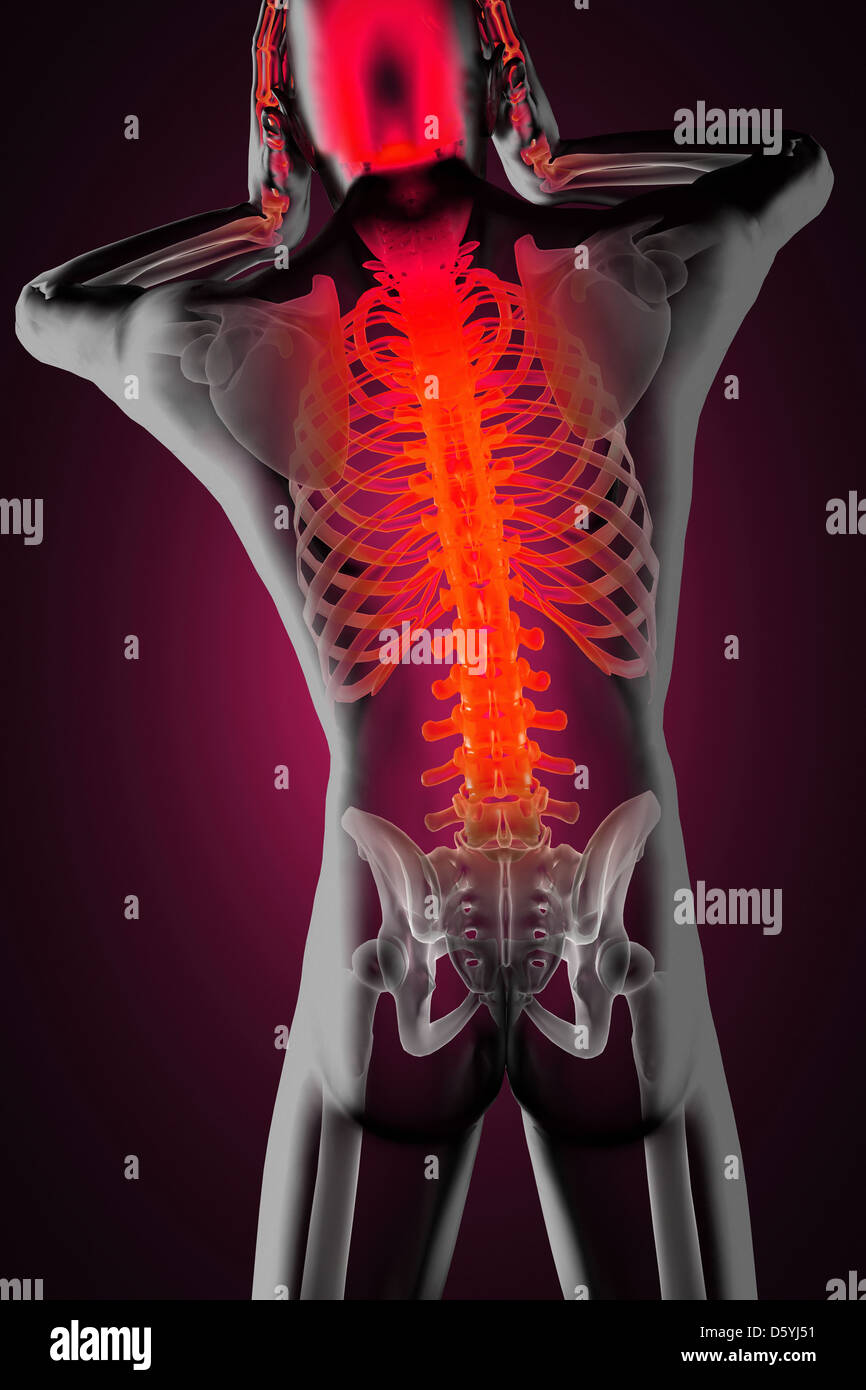 human radiography scan Stock Photo - Alamy