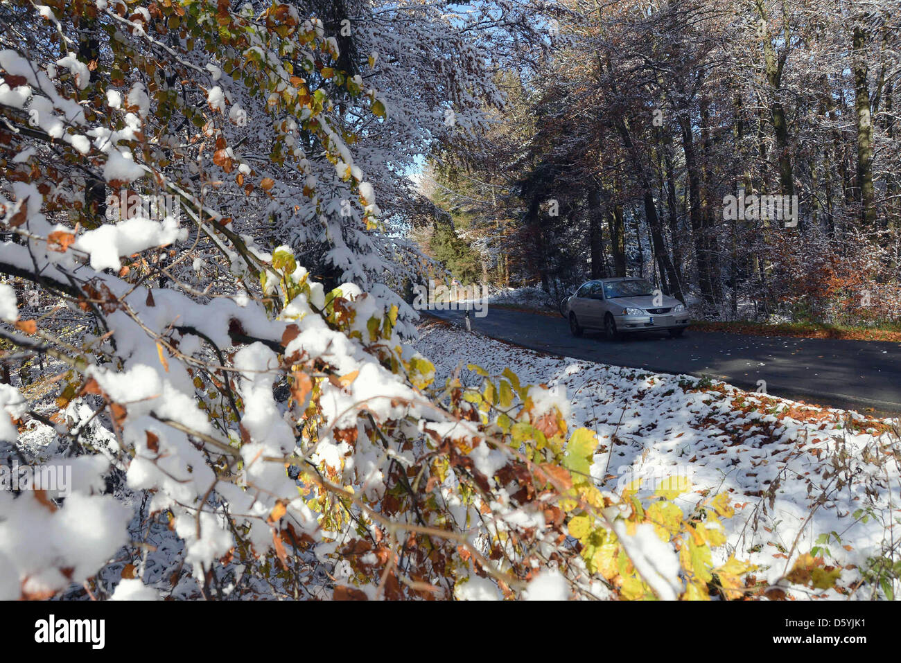 Sauerland area hi-res stock photography and images - Alamy