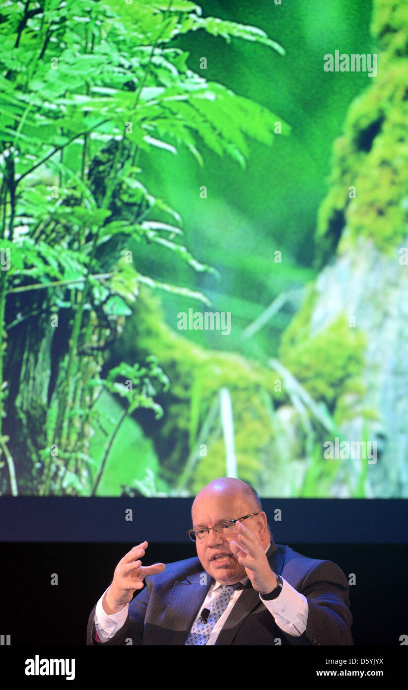 German Environment Minister Peter Altmaier attends a panel discussion ...