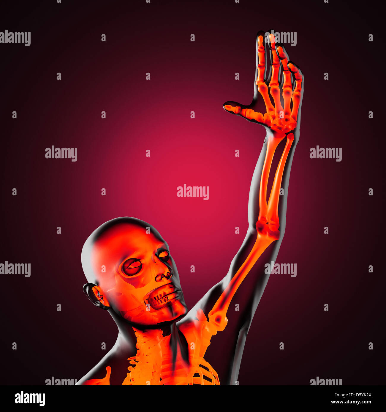 human radiography scan Stock Photo - Alamy