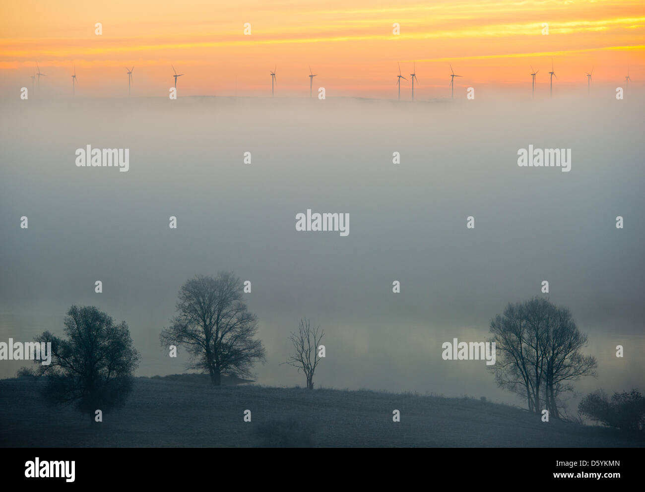 Fog hangs over the fields at the Oder in Lebus, Germany, 29 October ...