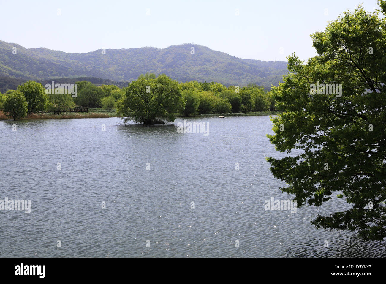 Damyang korea hi-res stock photography and images - Alamy