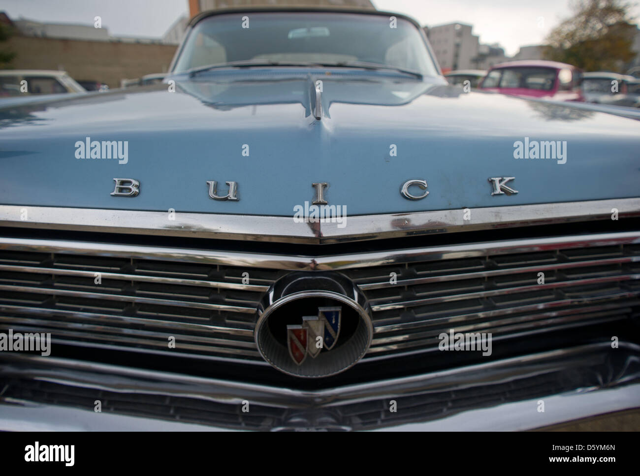 A blue Ford Mustang from the 60s is pictured during a Mustang safari in ...