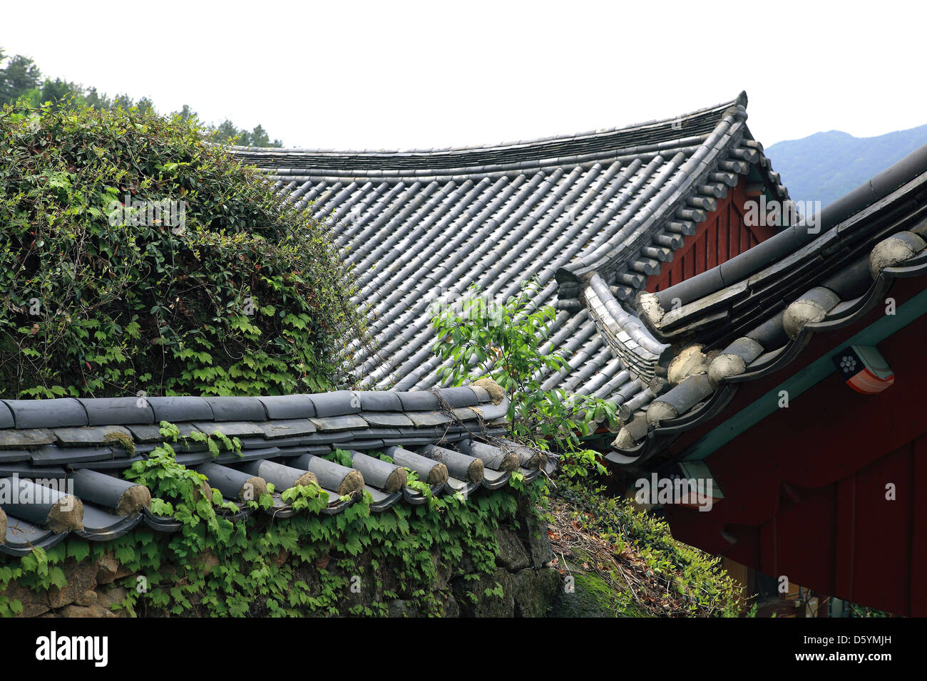 Hadong Gun High Resolution Stock Photography and Images - Alamy