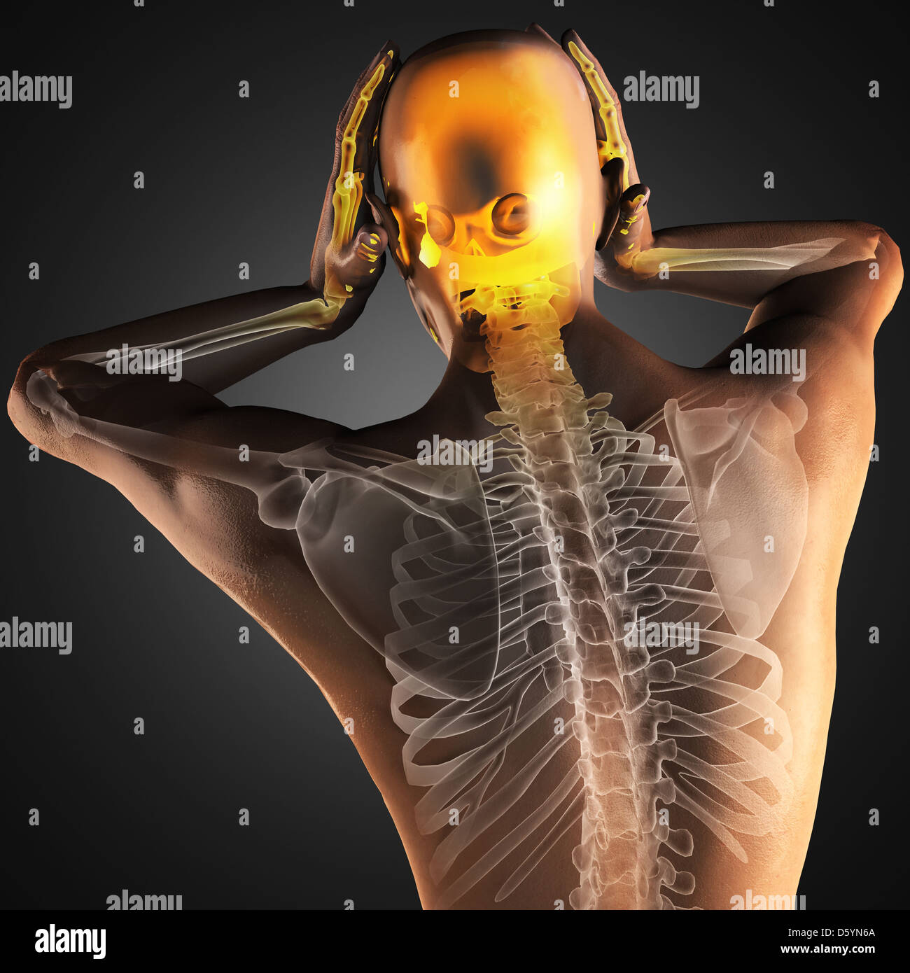 human radiography scan Stock Photo - Alamy
