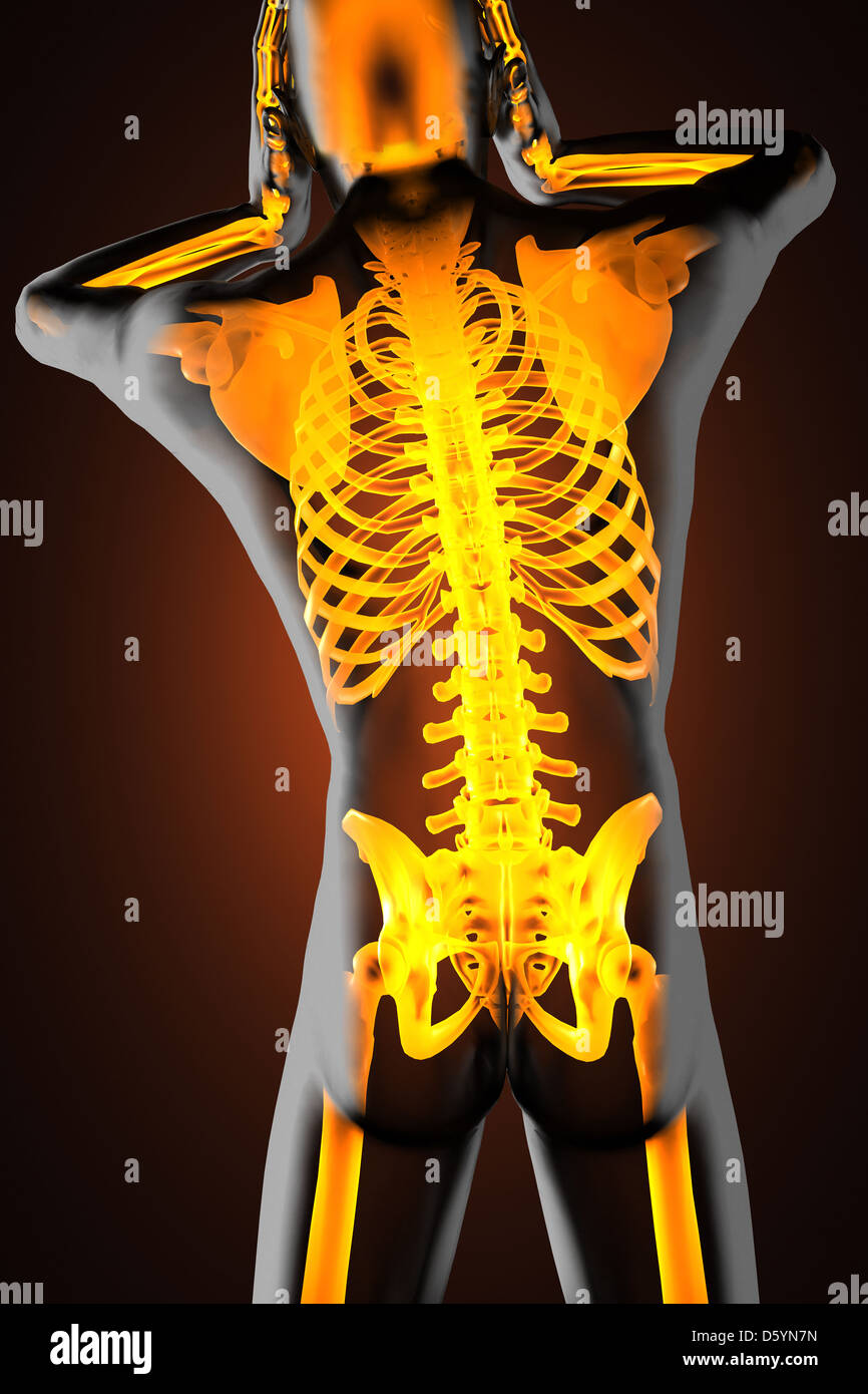 human radiography scan Stock Photo - Alamy