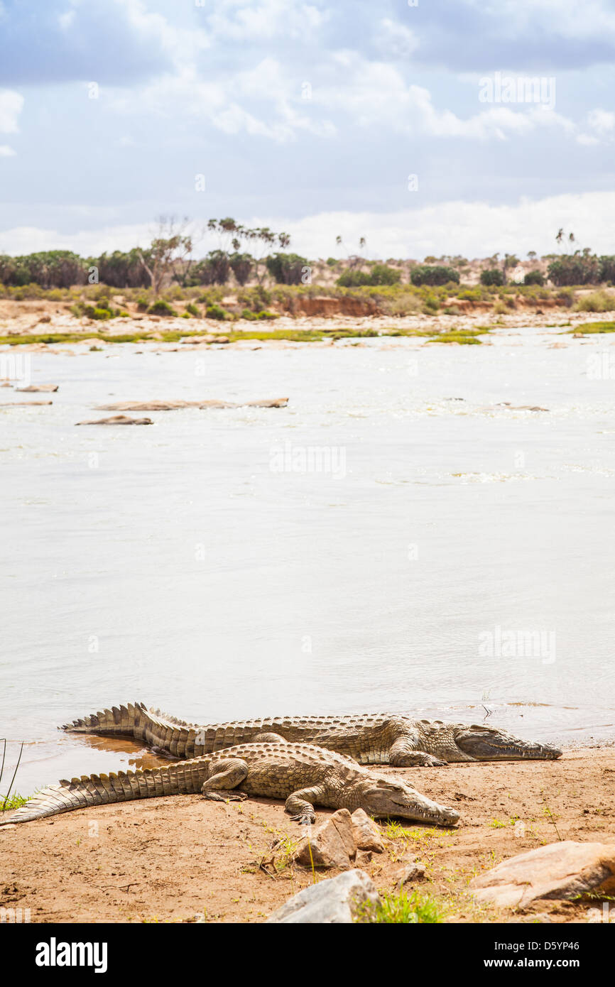 Kenian hi-res stock photography and images - Alamy