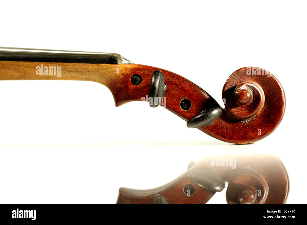 violin scroll isolated on white background Stock Photo - Alamy