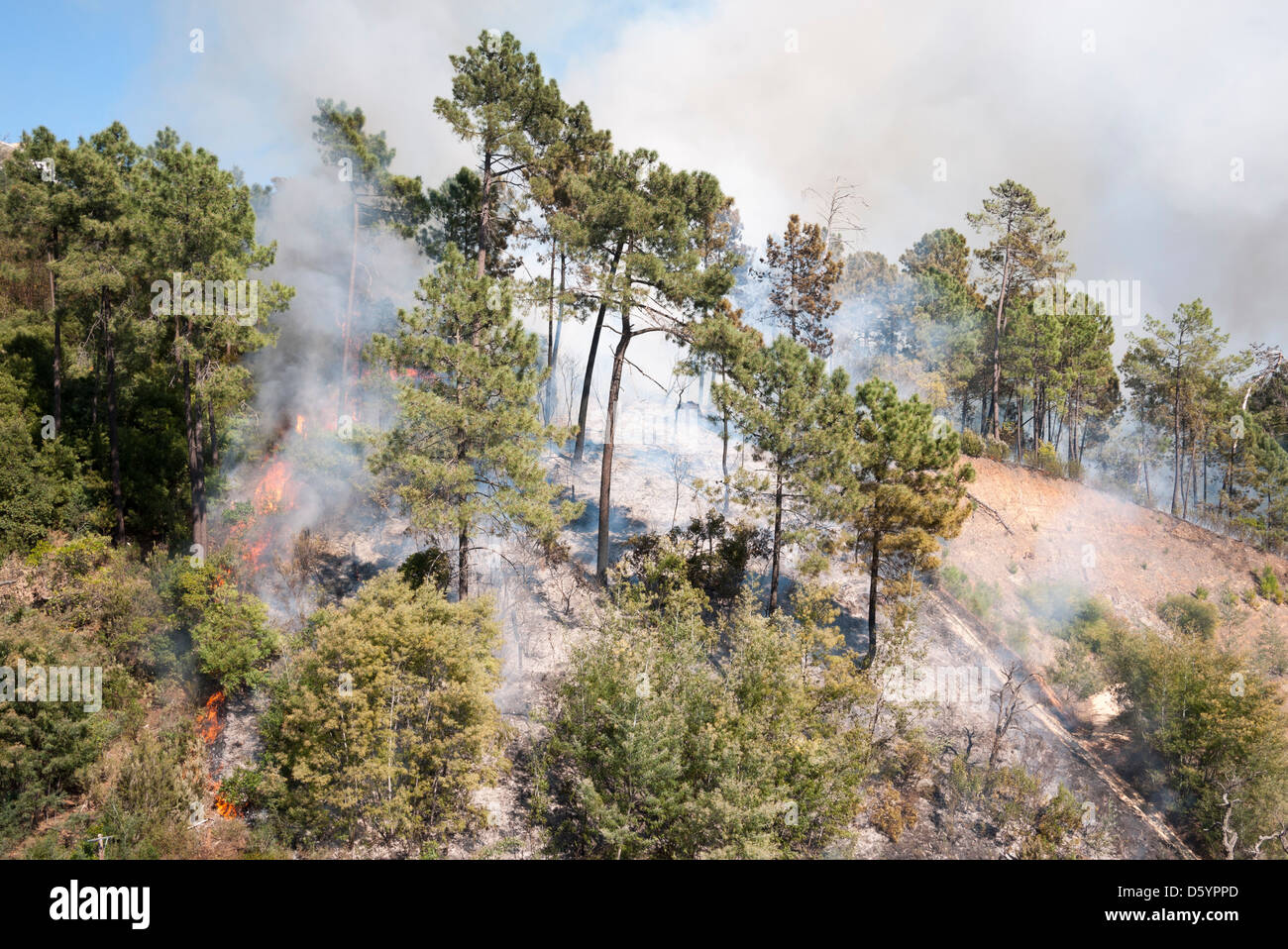 Hill fire hi-res stock photography and images - Alamy