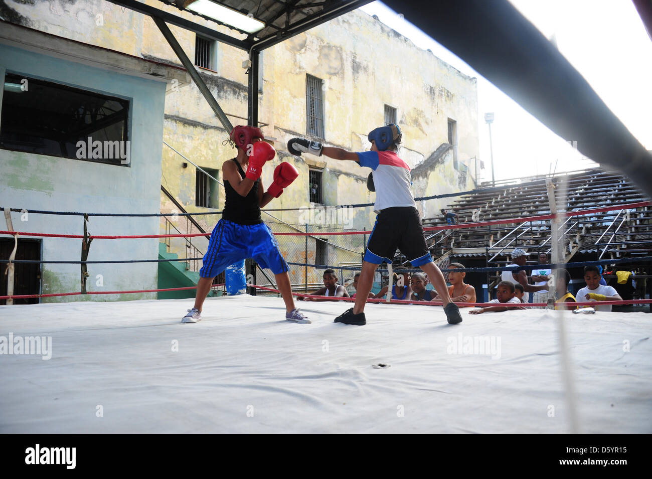Two pupils of the Cuban state boxing school 'Gimnasio de Boxeo Rafael ...