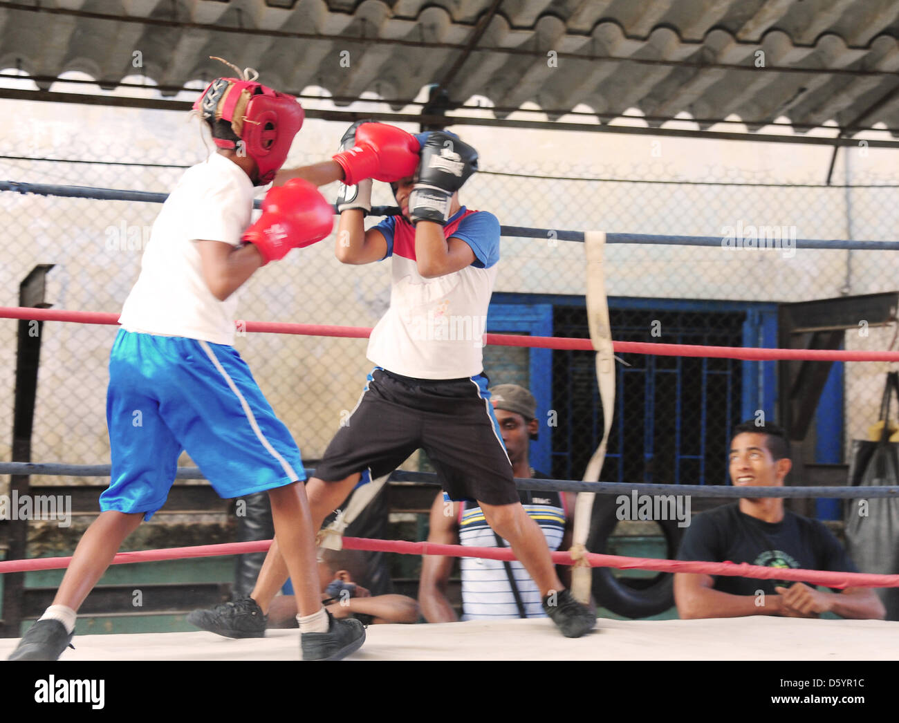 Two pupils of the Cuban state boxing school 'Gimnasio de Boxeo Rafael ...