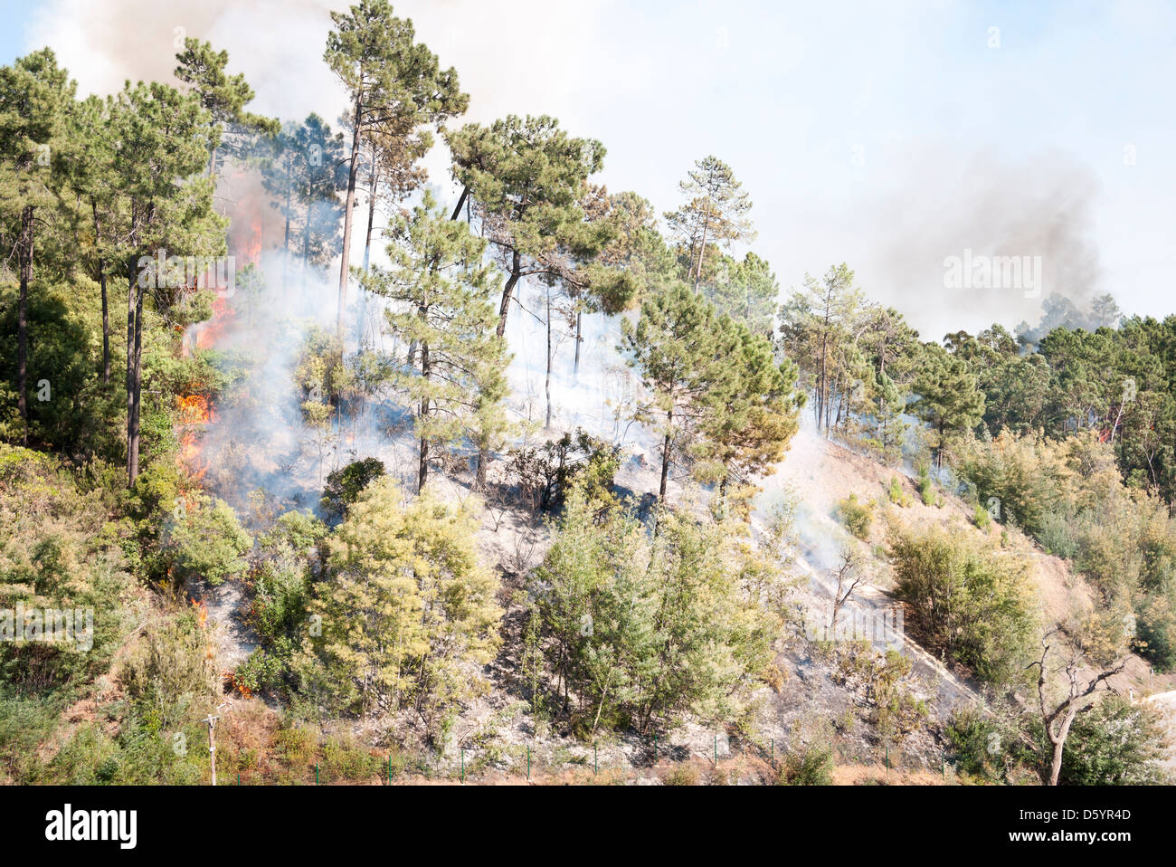 First hill fire of the year, Monchique april 2012 Stock Photo - Alamy