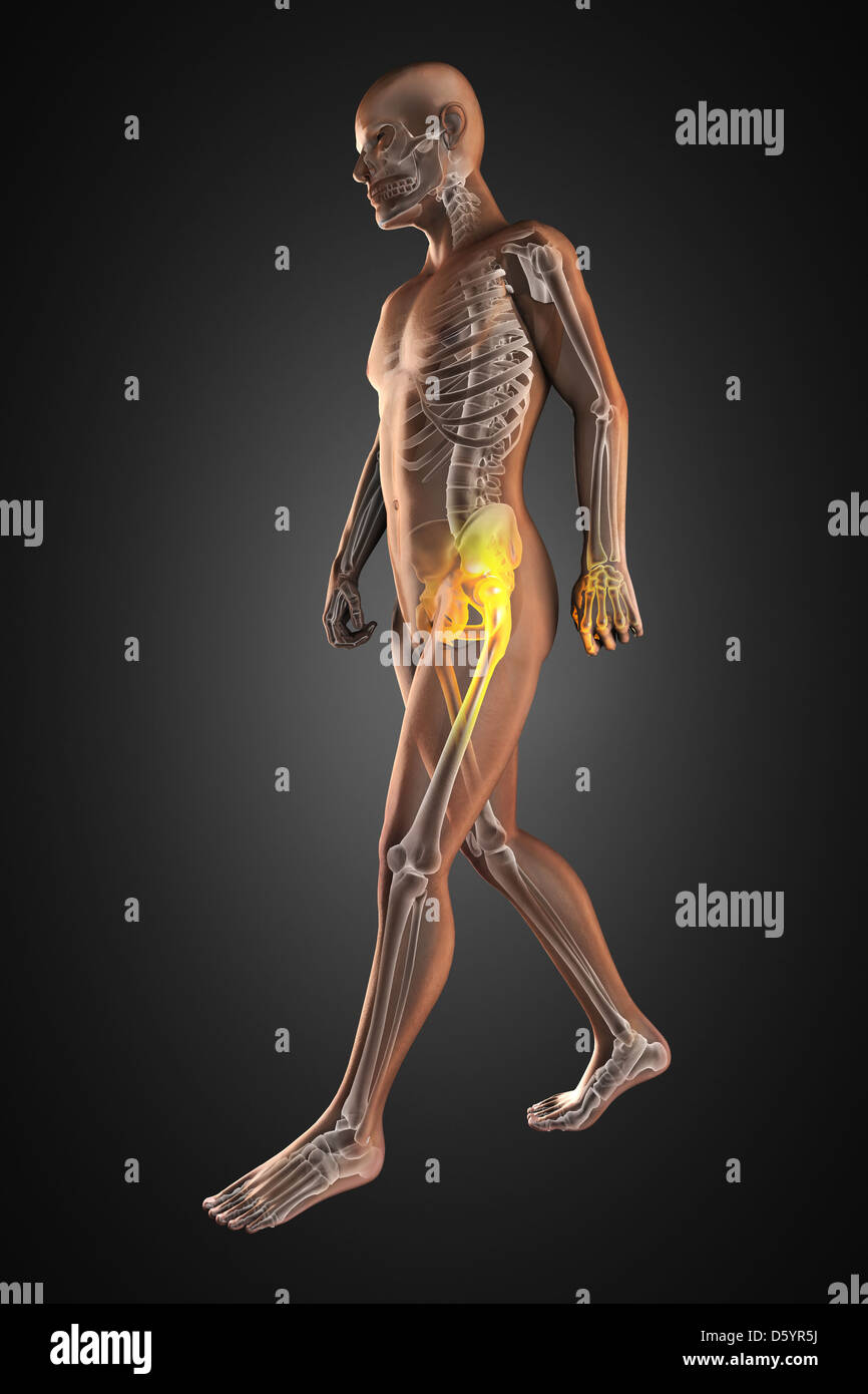 walking man radiography Stock Photo - Alamy