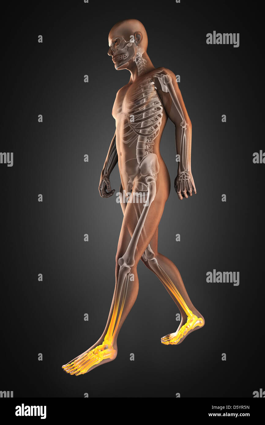walking man radiography Stock Photo - Alamy