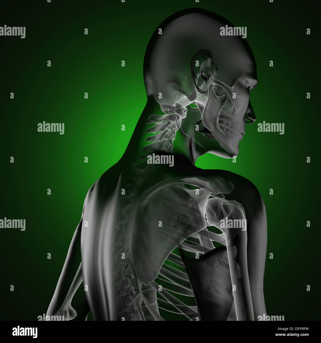 human radiography scan Stock Photo - Alamy