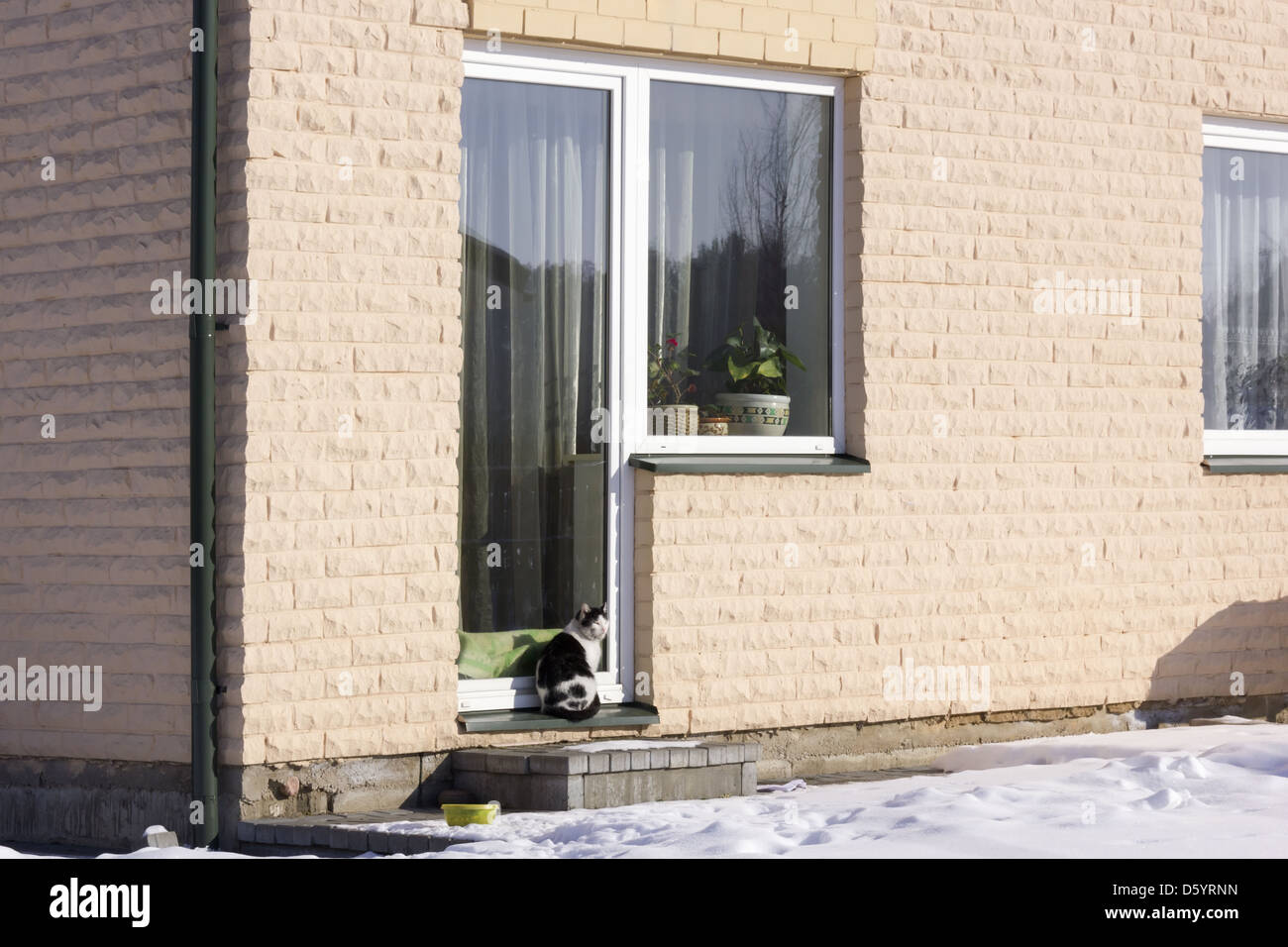 Black plastic cat hi-res stock photography and images - Alamy