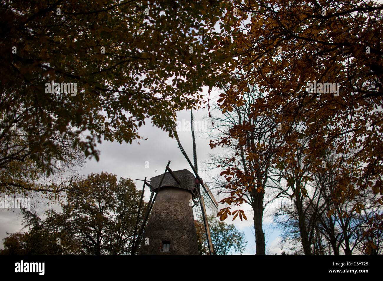 A windmill is pictured through autumn leaves in Ochtrup, Germany, 25 ...