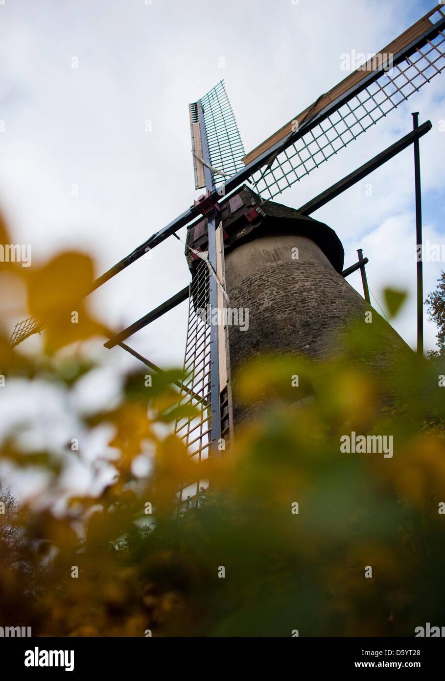 A windmill is pictured through autumn leaves in Ochtrup, Germany, 25 ...
