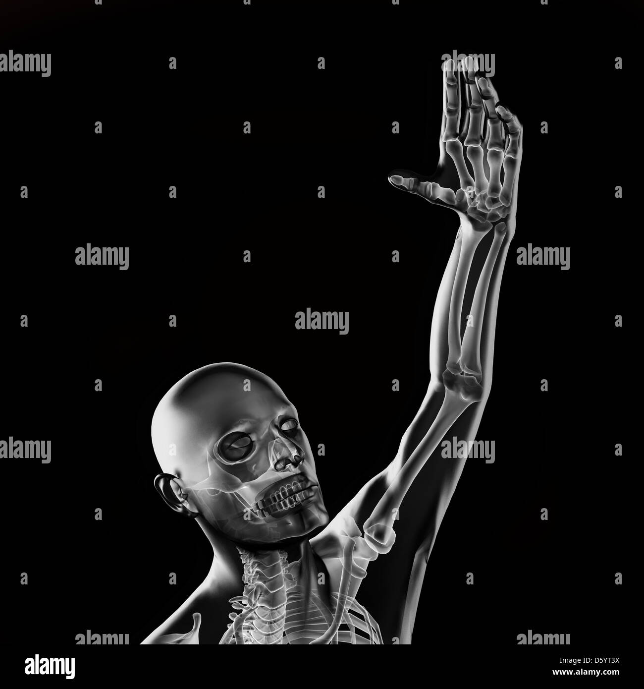 Human radiography hi-res stock photography and images - Alamy