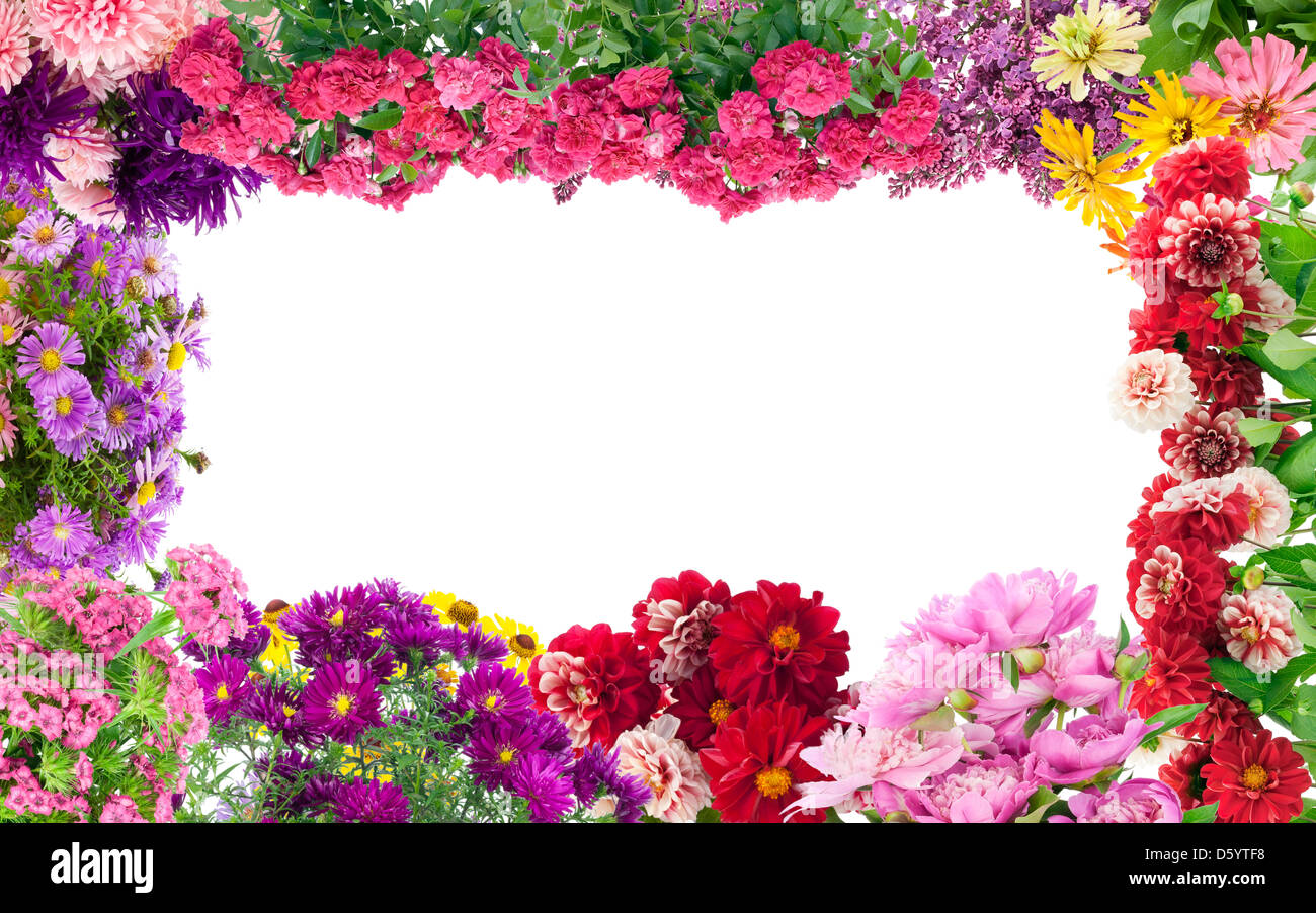 Fantastic flowers frame Stock Photo - Alamy
