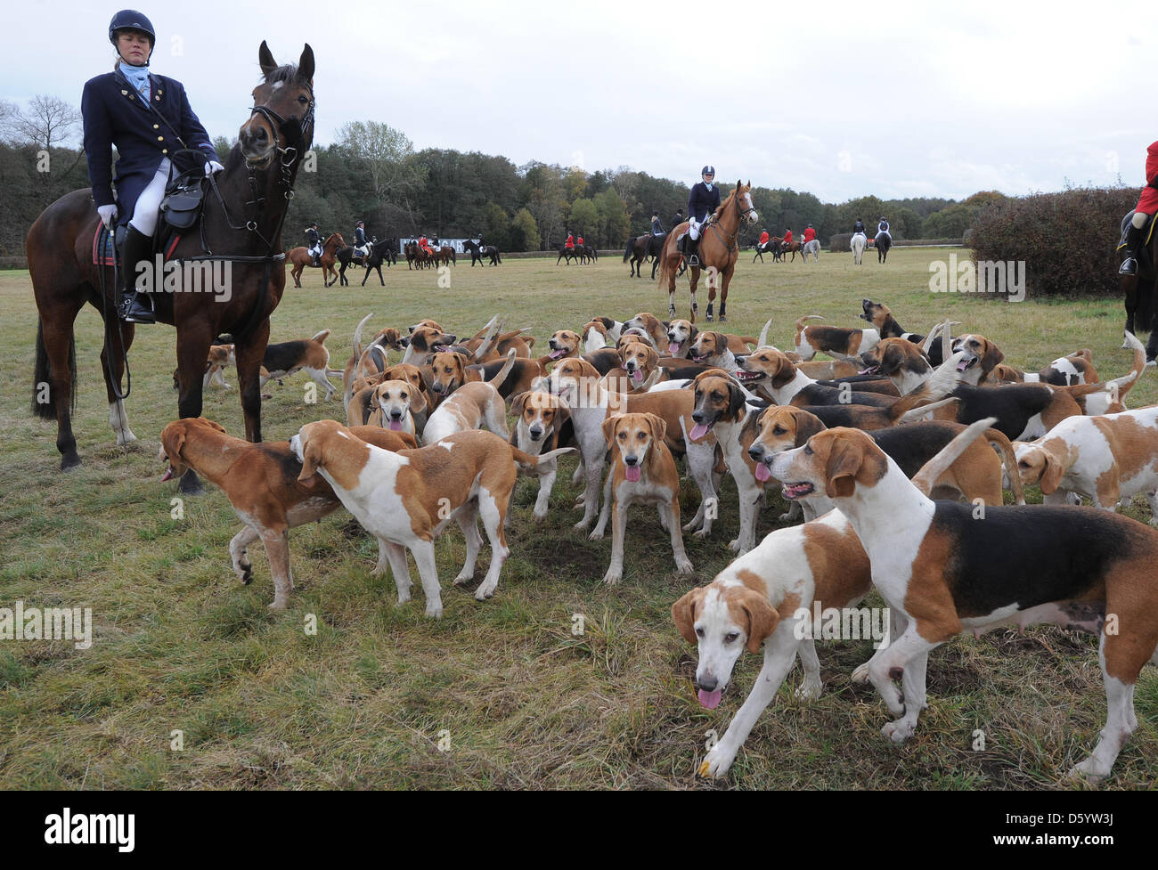 The Warendorf lot leads the traditional Hubertus hunt at the ...