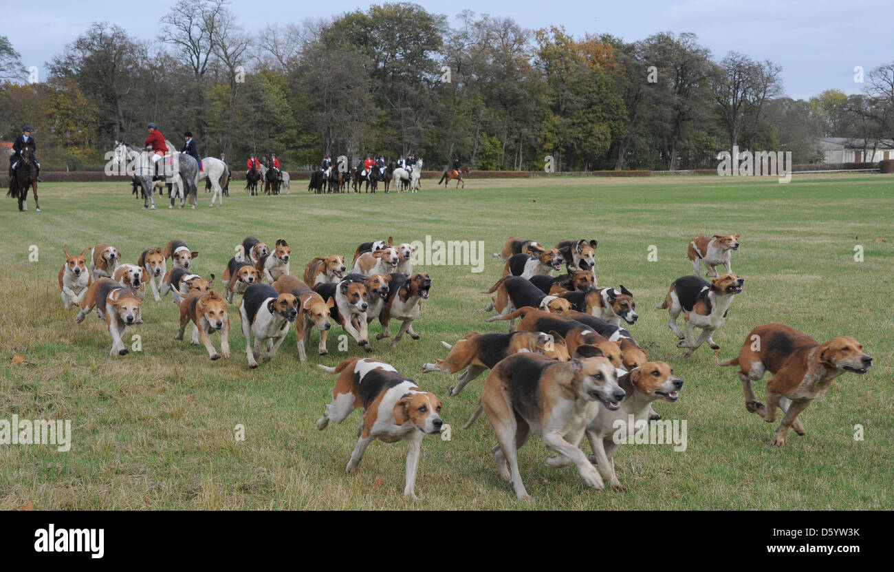 The Warendorf lot leads the traditional Hubertus hunt at the ...