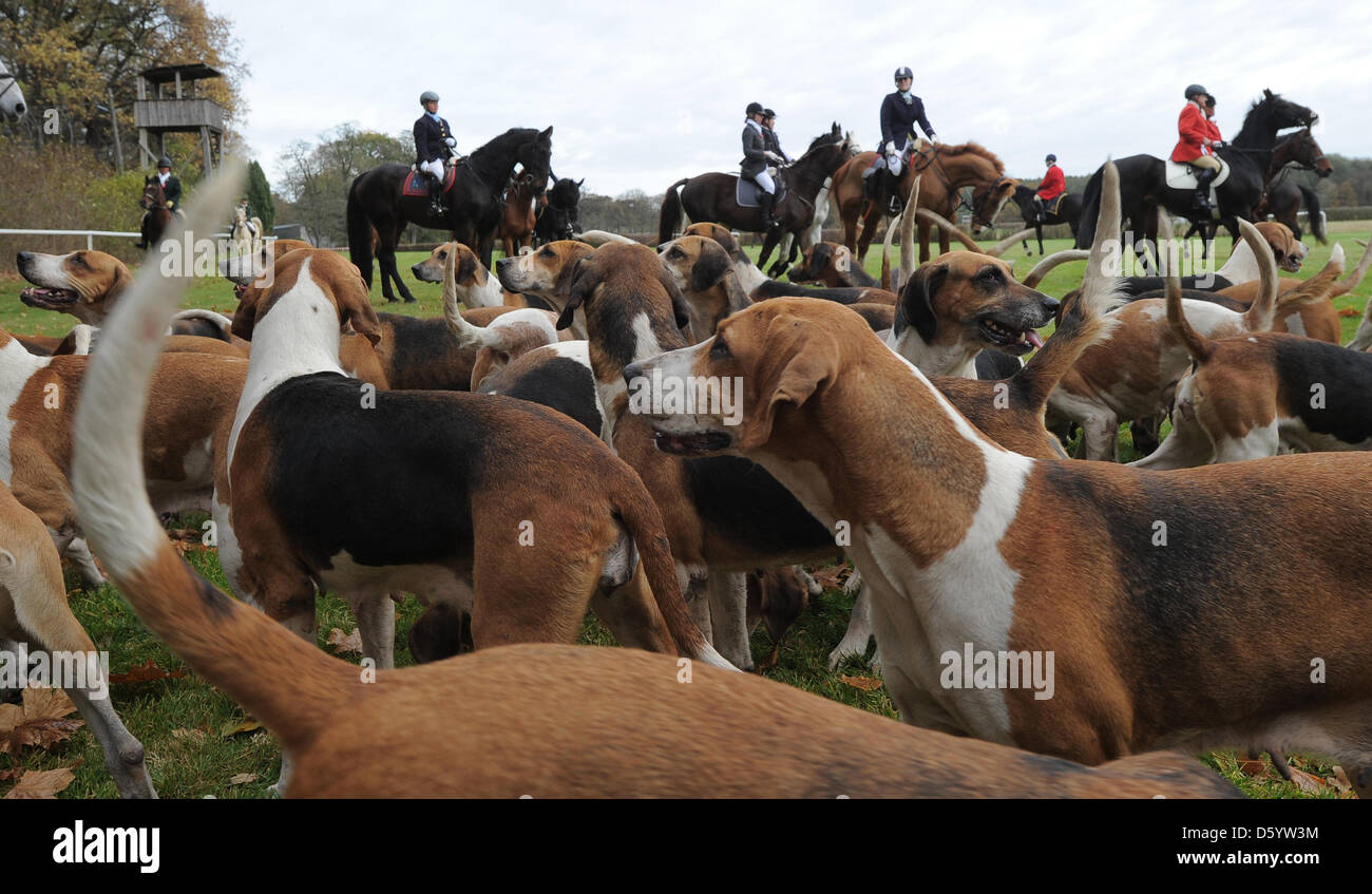 The Warendorf lot leads the traditional Hubertus hunt at the ...