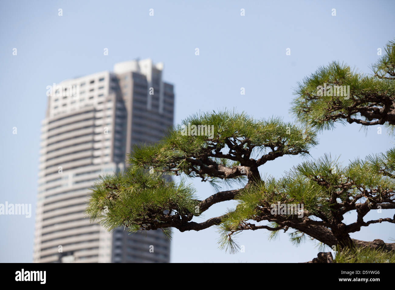 Tree skyscraper hi-res stock photography and images - Alamy