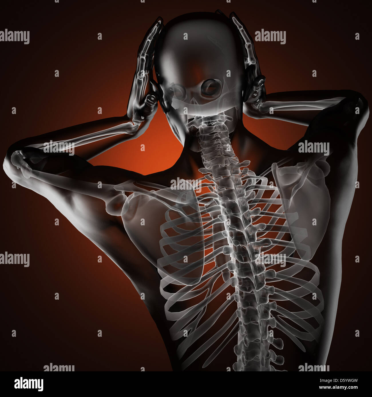 human radiography scan Stock Photo - Alamy