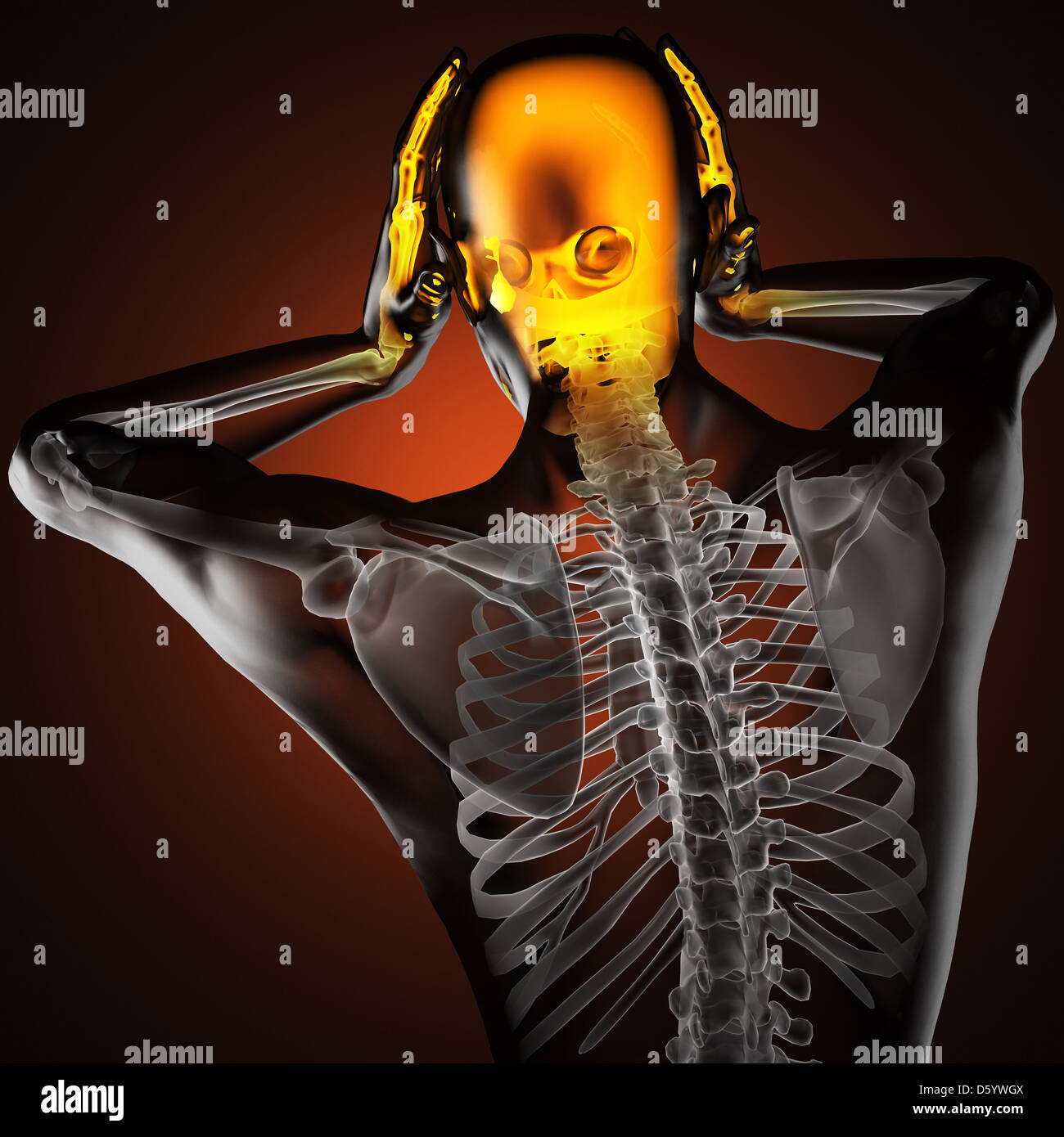 human radiography scan Stock Photo - Alamy