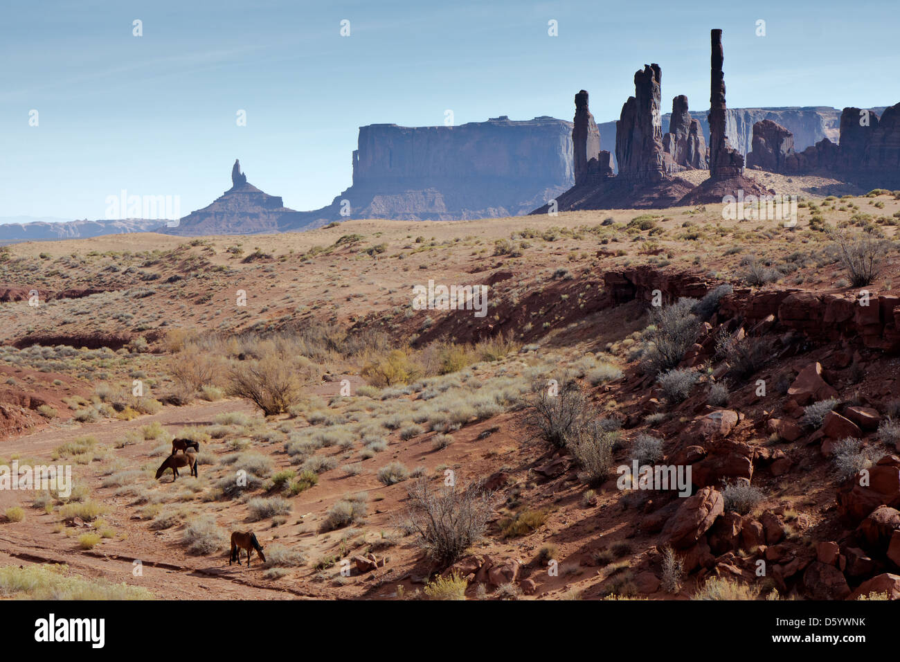 Wild horses in Monument Valley Stock Photo - Alamy