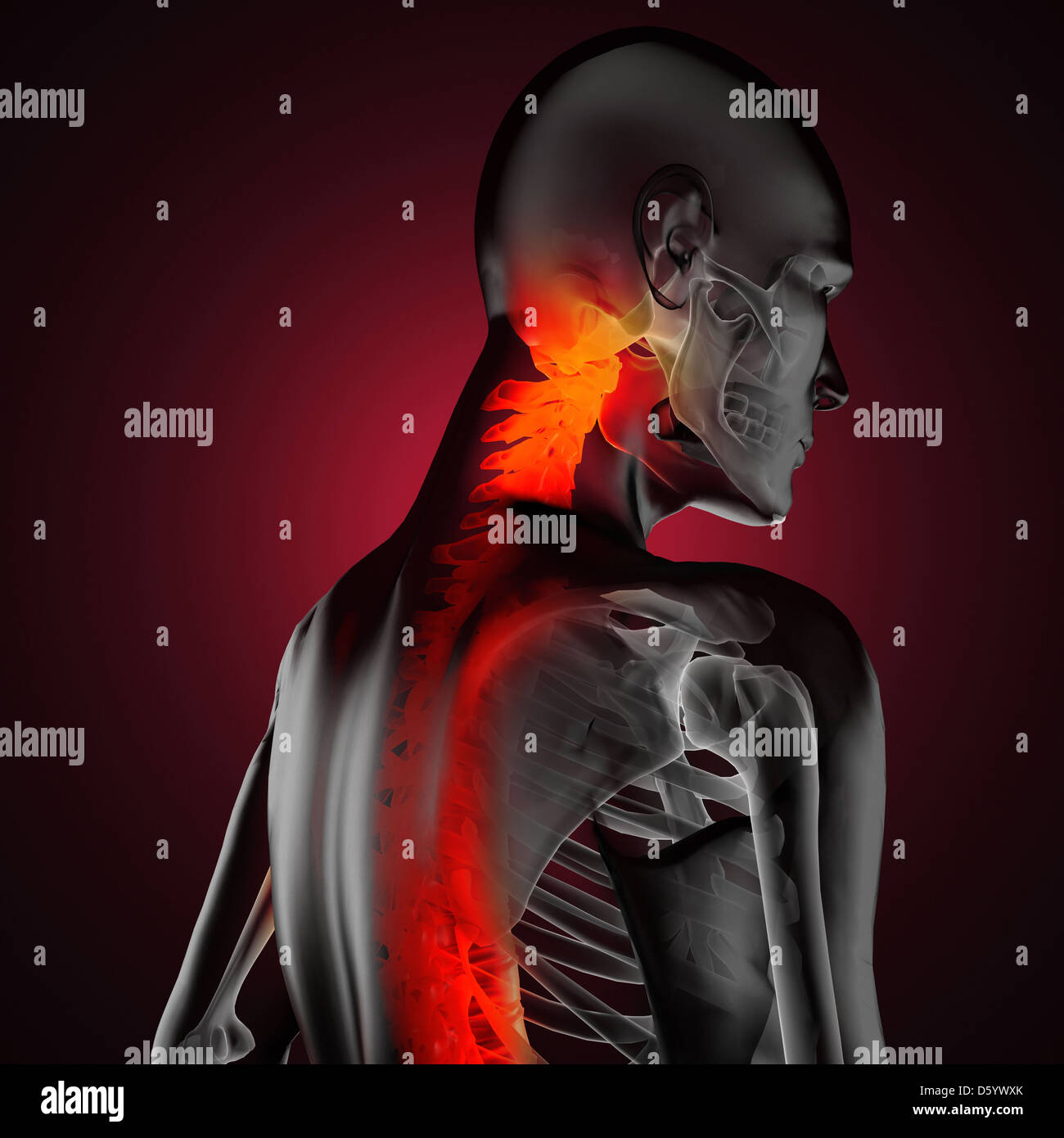 Human tra hi-res stock photography and images - Alamy