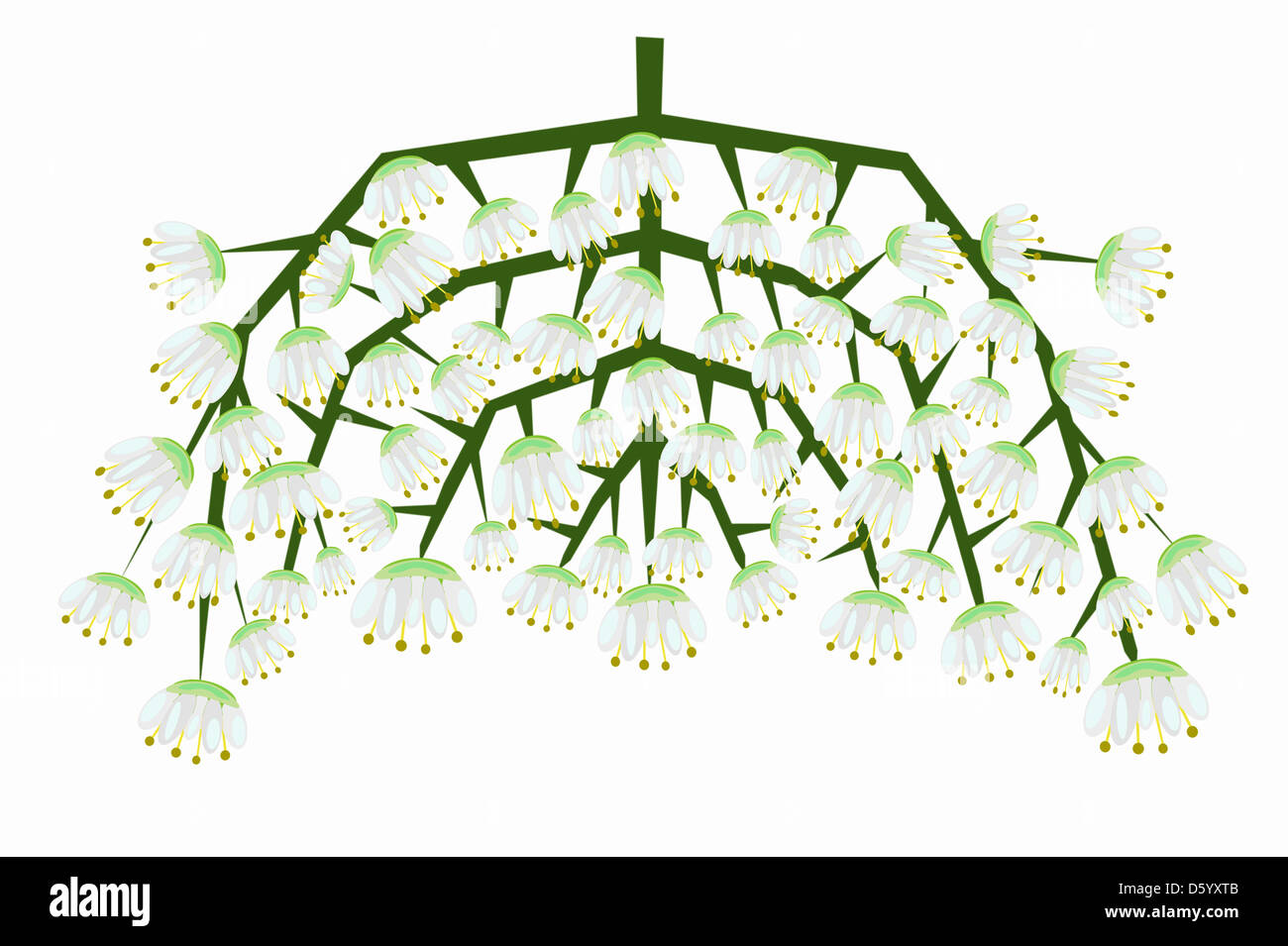 Spring white illustration hi-res stock photography and images - Alamy
