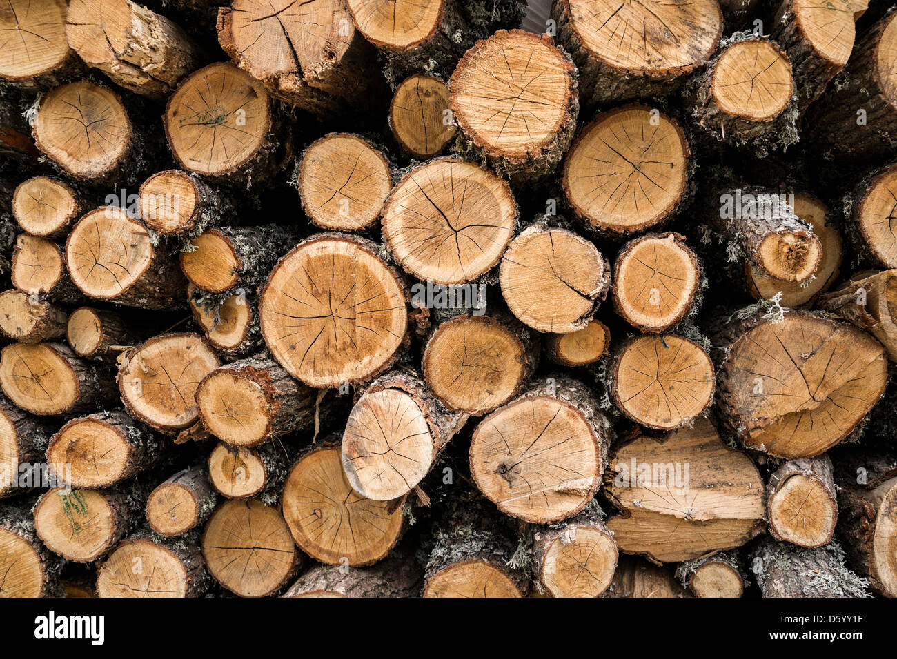A pile of logs Stock Photo - Alamy