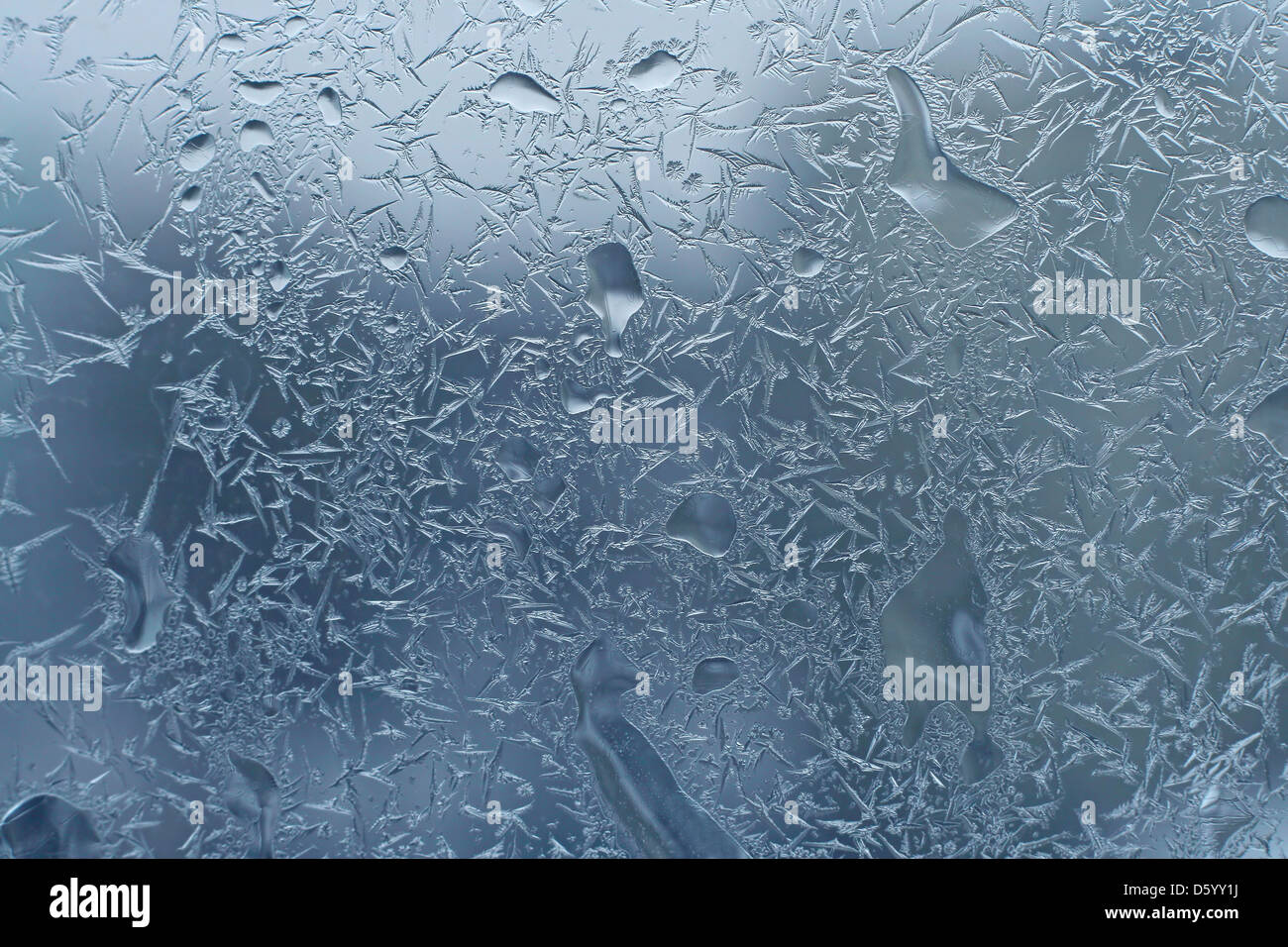 frost and water drops Stock Photo - Alamy
