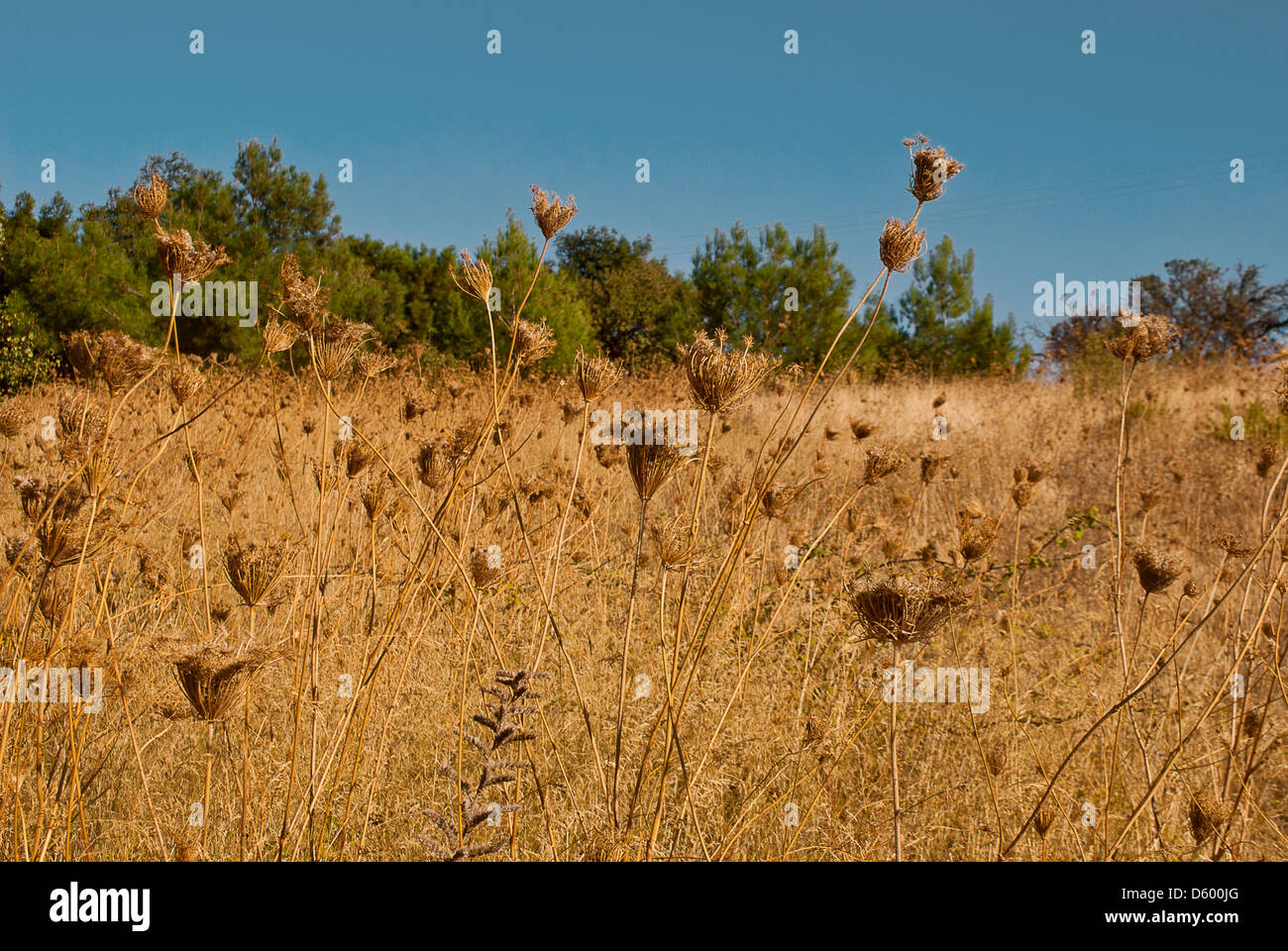 Samothrace island hi-res stock photography and images - Alamy