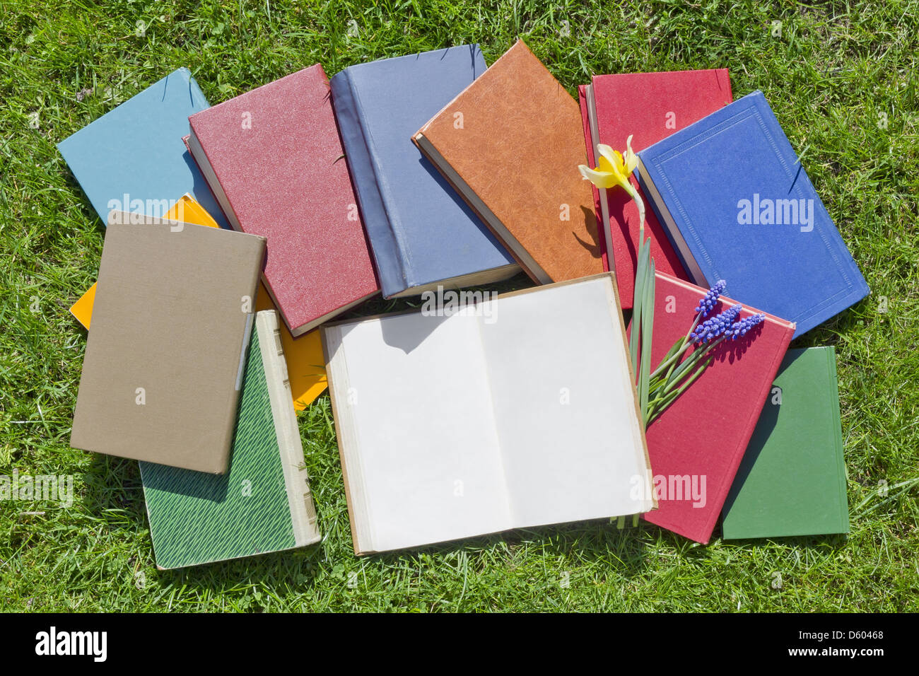 Spring flowers and books Stock Photo - Alamy