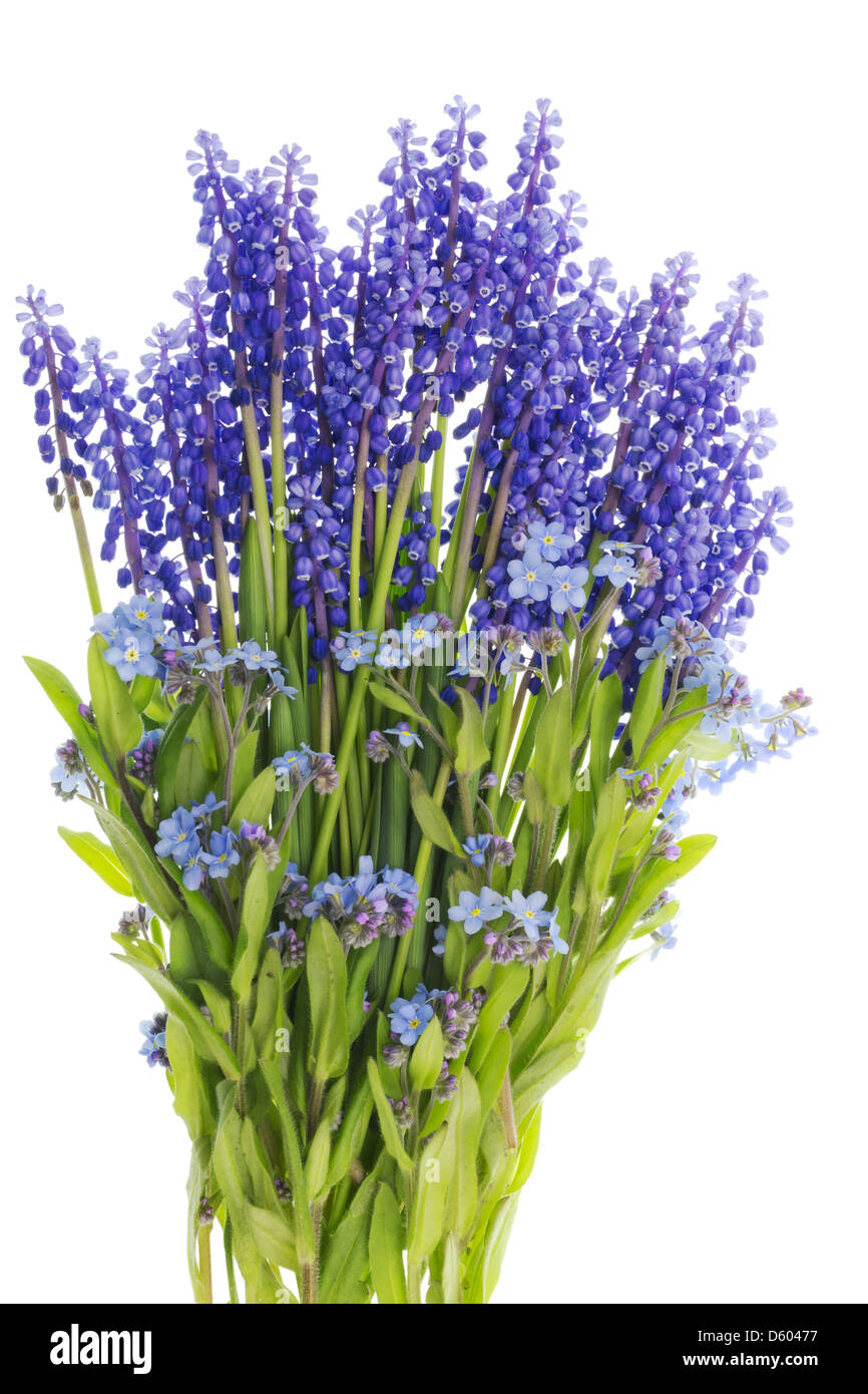 Blue bouquet hi-res stock photography and images - Alamy