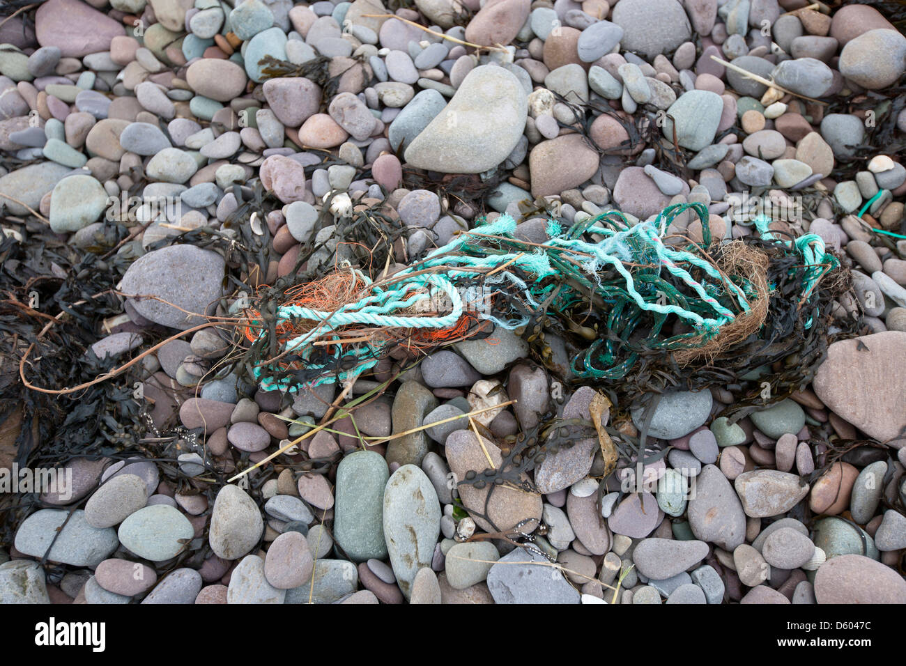 Fishing refuse litters beach Stock Photo - Alamy