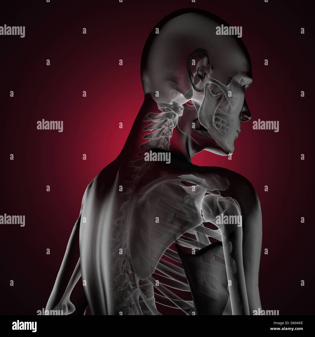 human radiography scan Stock Photo - Alamy